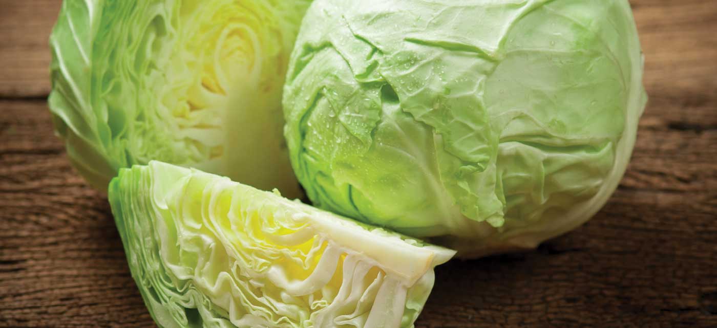 FOUR LEAF SPECIAL View Weekly Specials